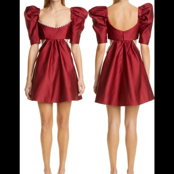 AREA | Dresses | Area Sculpted Sleeve Dress | Poshmark